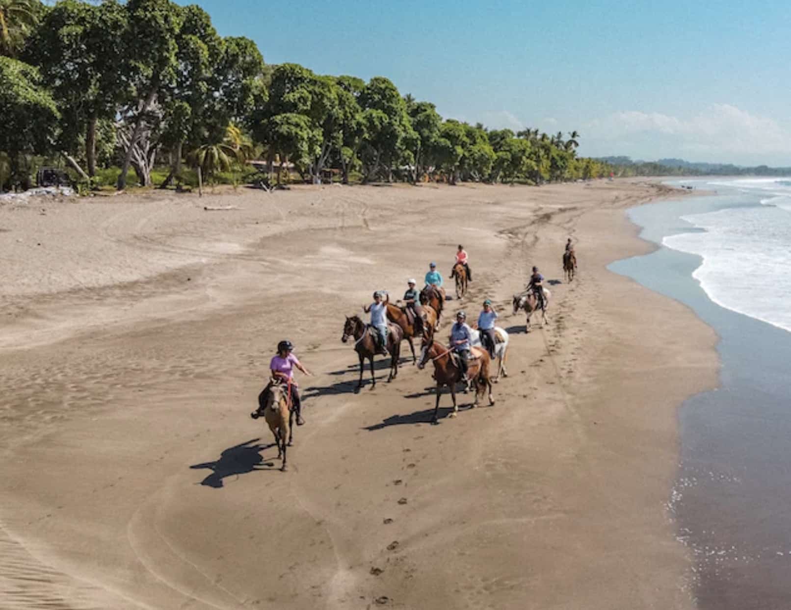 Envisioning the futures of cultural tourism - Expertise Netwerk ...